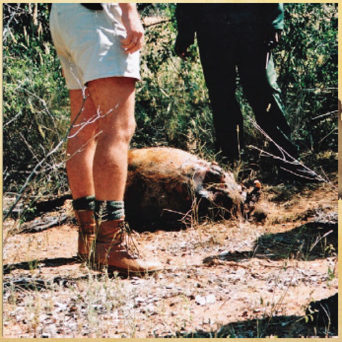 Miroslav Bojcun - Warthog Trophy - rcherz.com